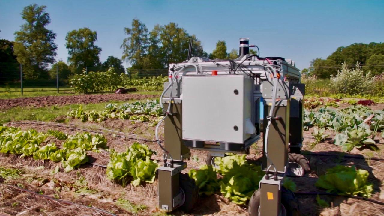 Roboter im Gemüsebeet - 3sat-Mediathek