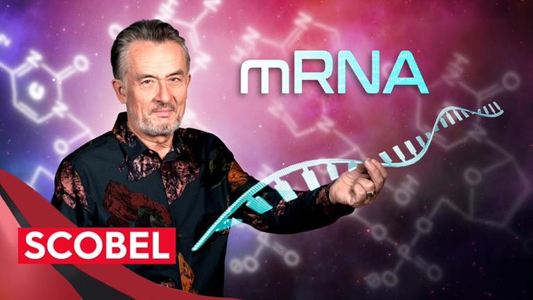 mRNA wissenschaftlich erklärt - 3sat-Mediathek