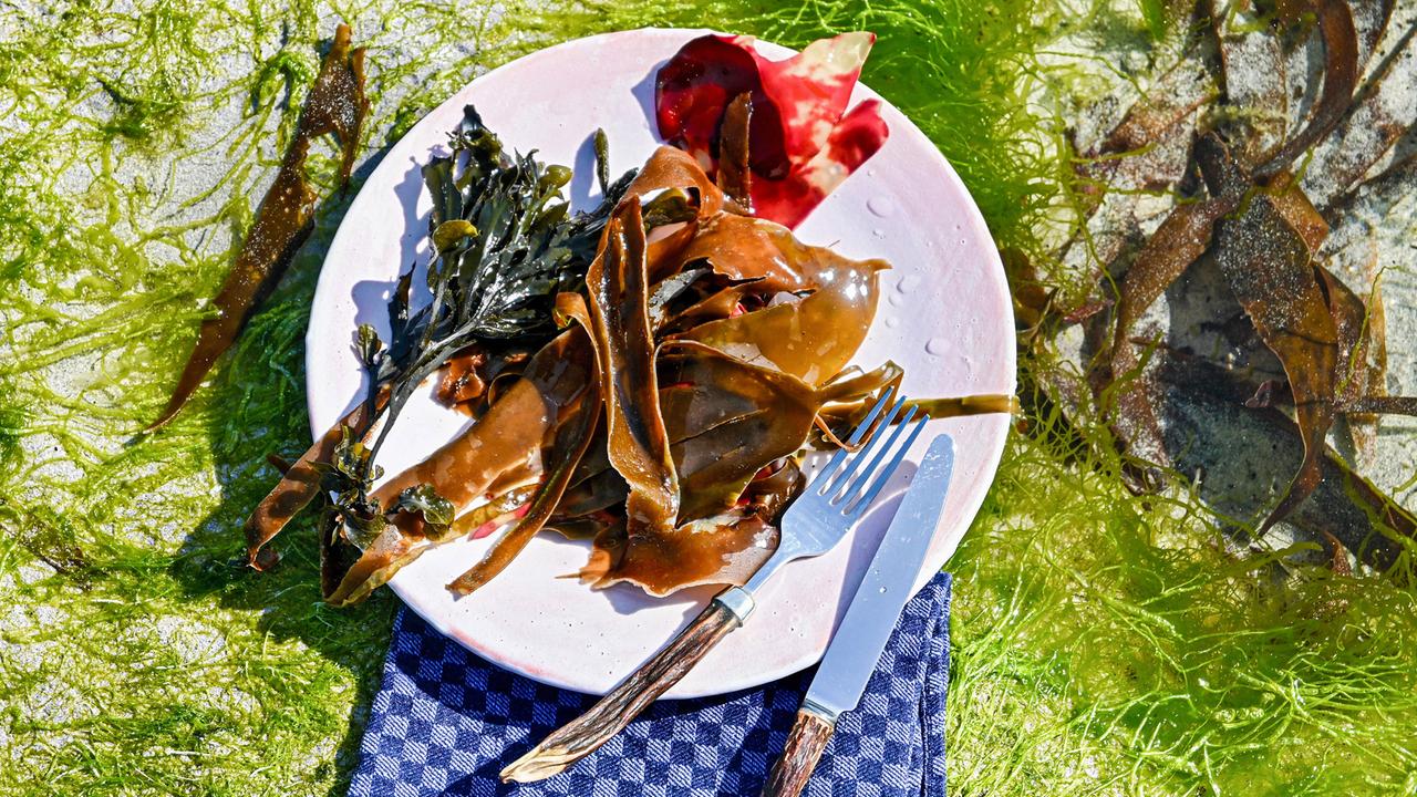 Algen essen - Klimaretter auf dem Teller? - 3sat-Mediathek