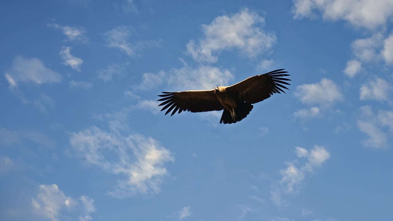 Vidio gudang bokep thought about going to pp after so long