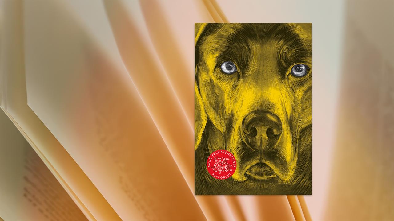 Comicbuchtipp: "Der Spalt" - 3sat-Mediathek