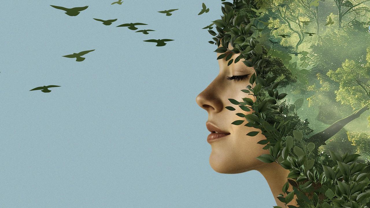 Psychisch stark - Wege aus der Depression - 3sat-Mediathek